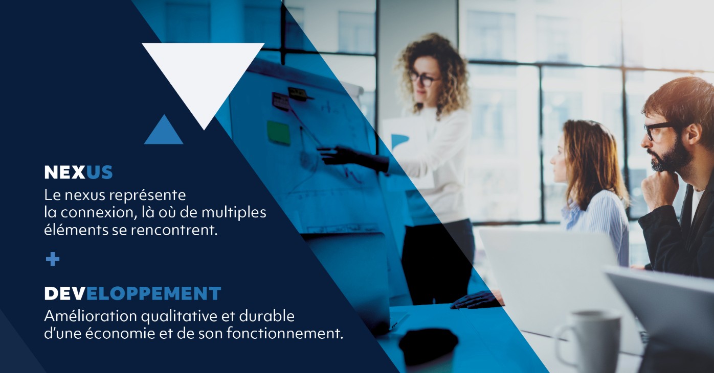 Services et Accompagnement | NexDev.ca